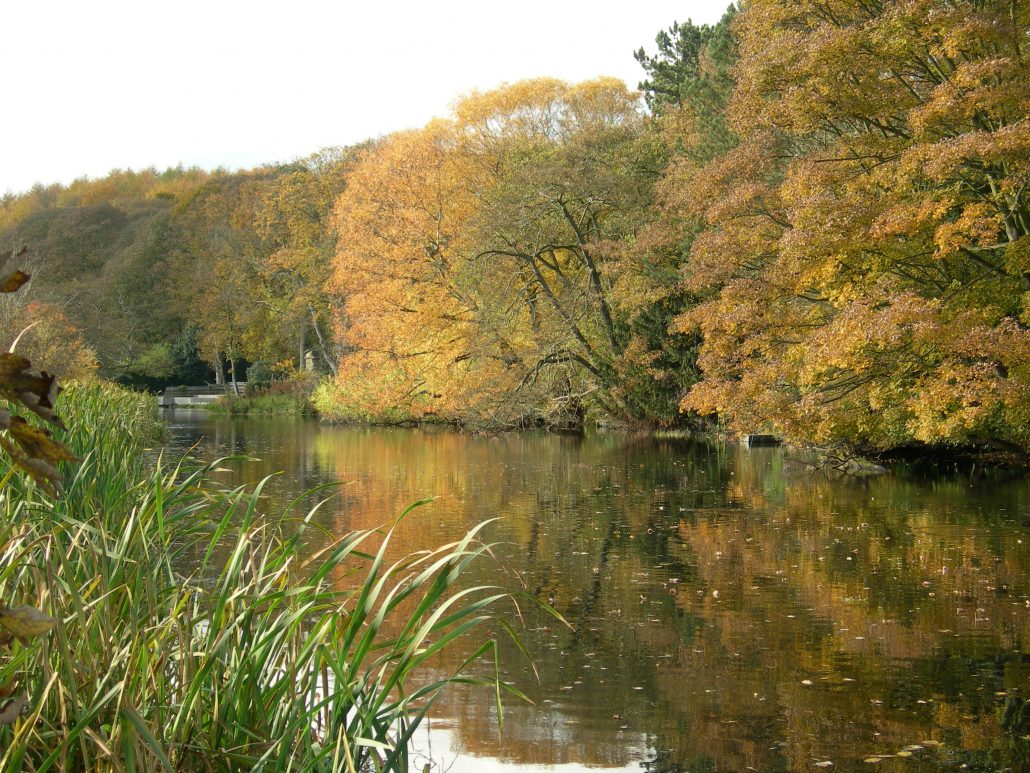 Axwell Park Buildings Estate