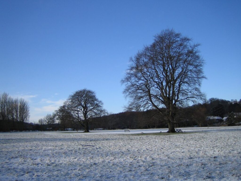 Axwell Park Buildings Estate