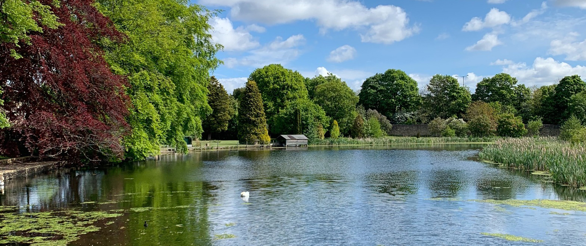 Axwell Park Building Estate